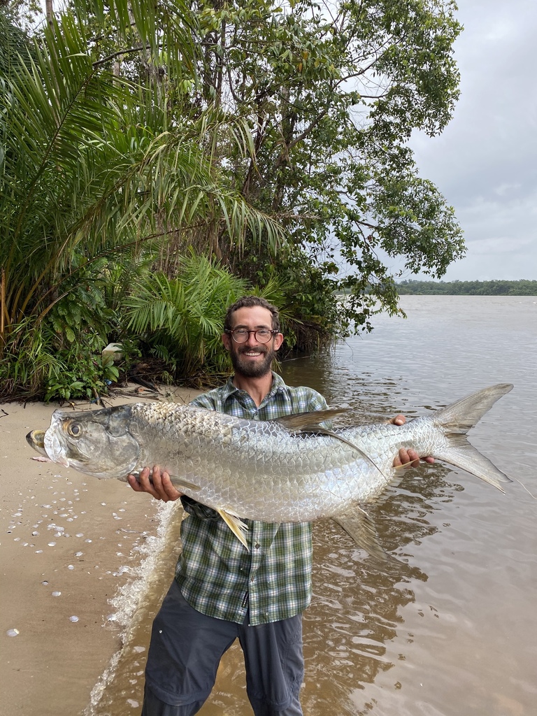 Atlantic Tarpon from Ogooué-Maritime, GA on October 7, 2020 at 10:08 AM ...