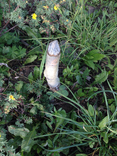 Photo 1035318, (c) Charlie Hohn, some rights reserved (CC BY), uploaded ...