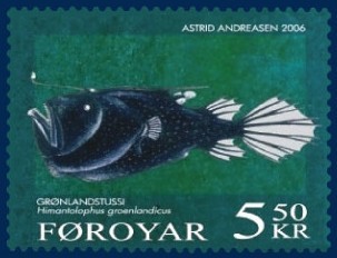 Atlantic Footballfish (Himantolophus groenlandicus) - Marine Life ...