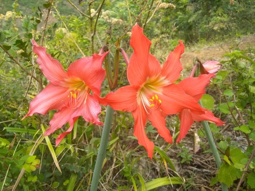 Photo 113227575, (c) Martin Reith, some rights reserved (CC BY-NC ...