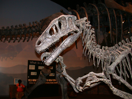 Genus Utahraptor · iNaturalist