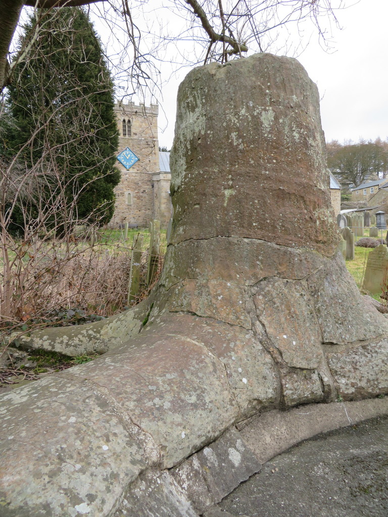 (Sigillaria) - Botanical Realm