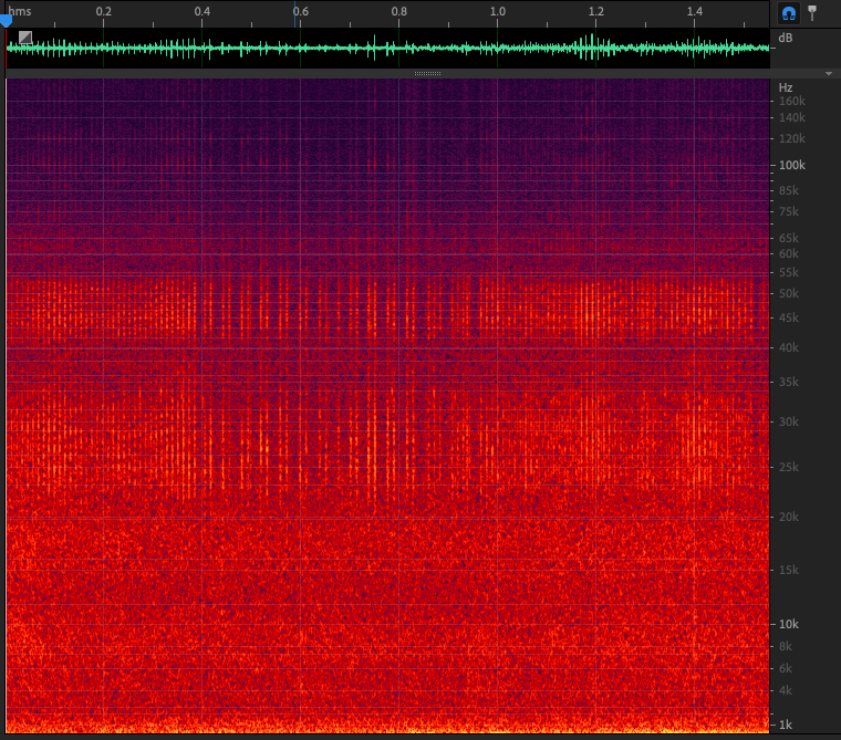 Butterflies and Moths in March 2021 by Andrew Rock. Recorded at 384 kHz ...