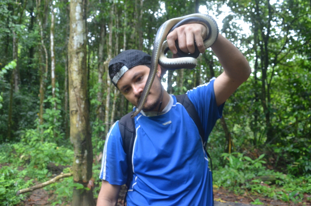 Common Mussurana from Iriona, Honduras on September 25, 2018 at 09:03 ...