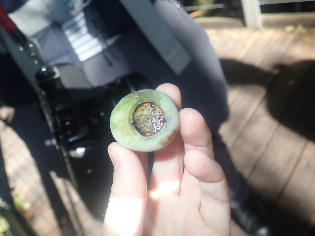 Bolwarra from Blue Mountains, New South Wales, Australia on July 7 ...