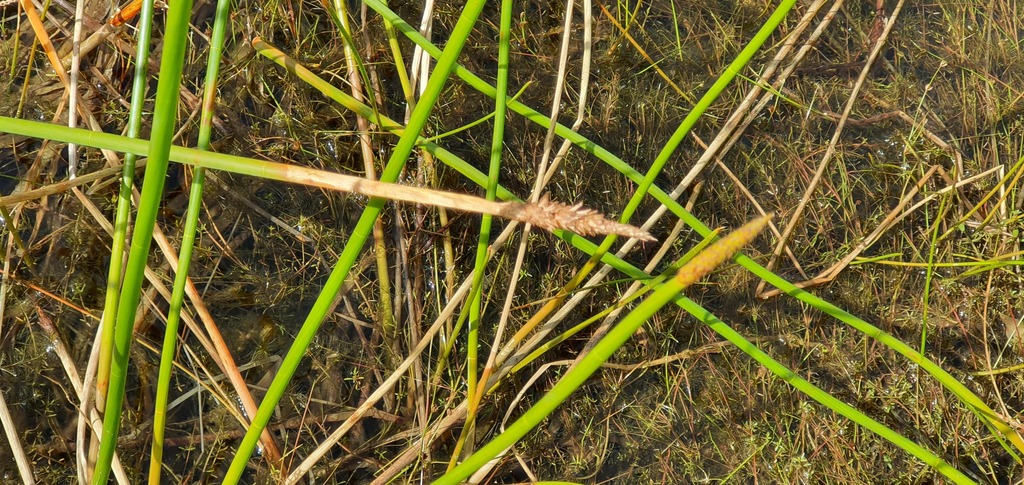 Kaya from Putauaki, New Zealand on March 28, 2021 at 11:13 AM by Chris ...