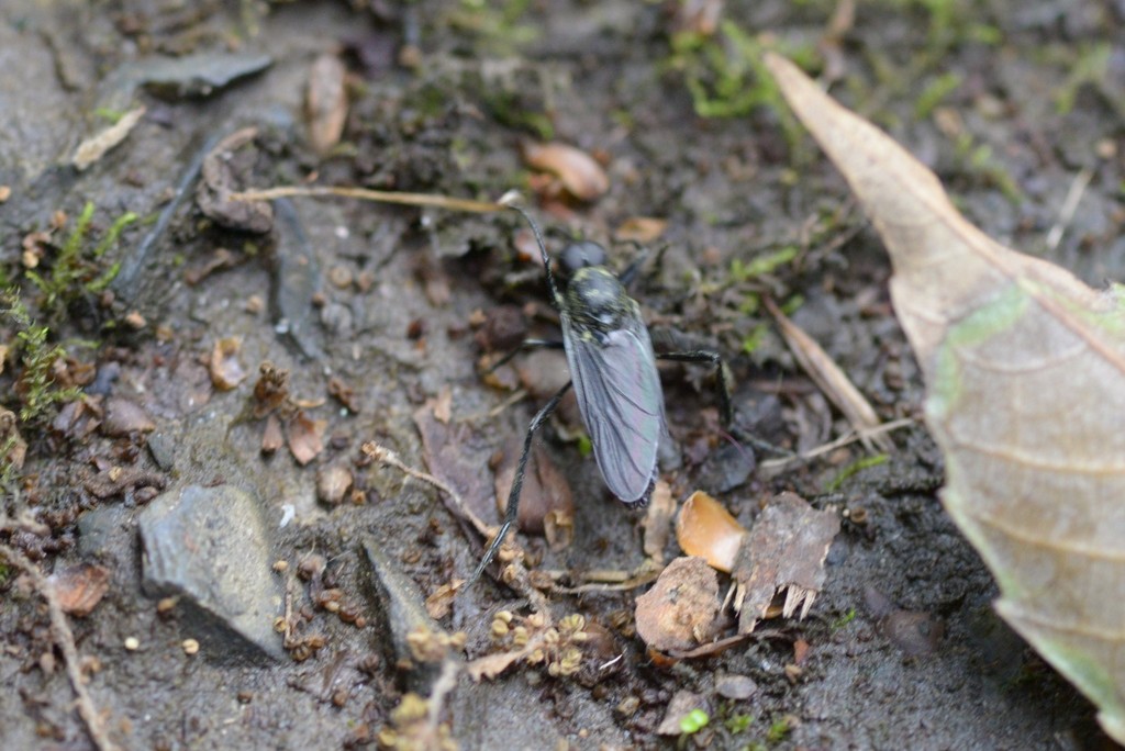 March flies from 中国浙江省杭州市西湖区 on April 16, 2021 at 03:52 PM by rhinolin ...