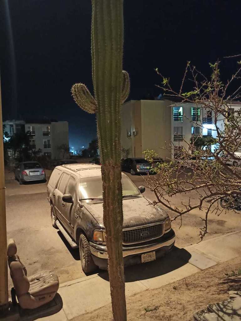 Mexican Giant Cactus from El Caribe, Col del Sol, B.C.S., México on ...