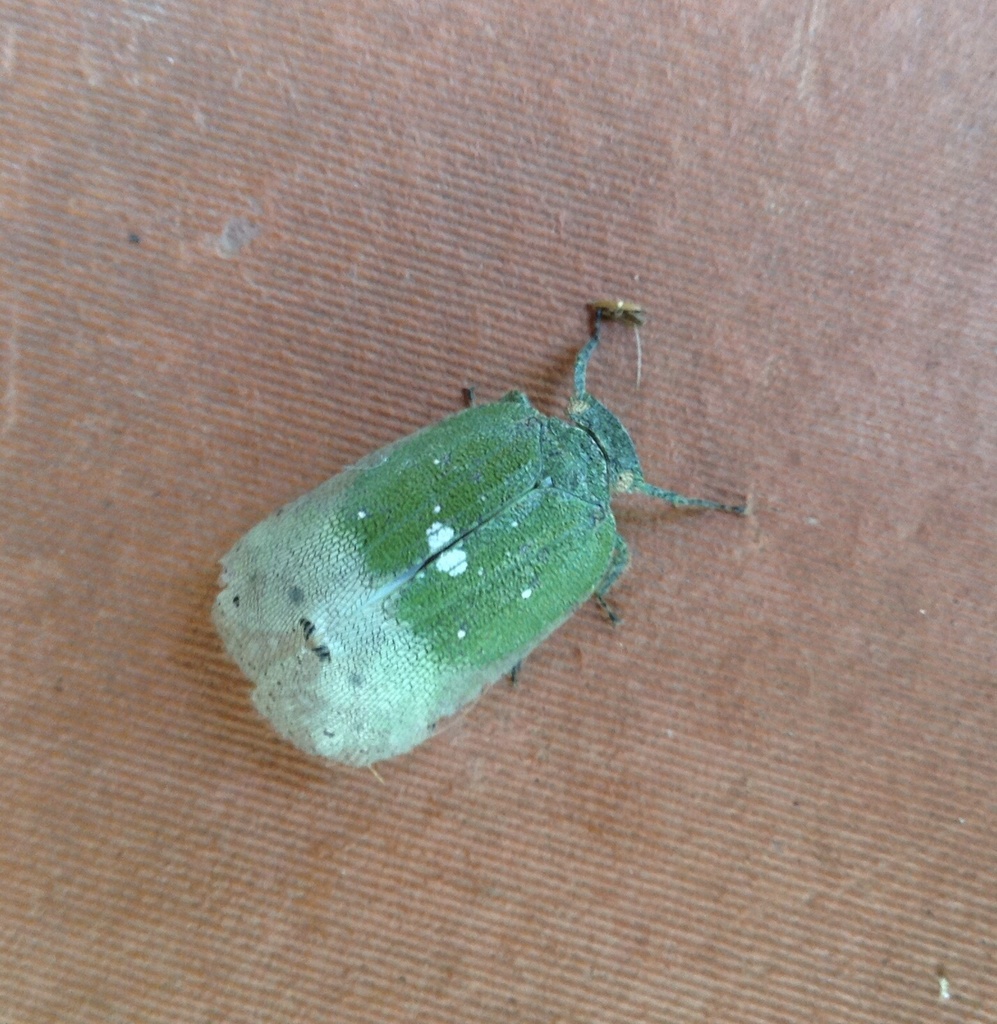 Messena from Udumbanchola, Idukki, KL, IN on May 13, 2016 at 10:19 AM ...