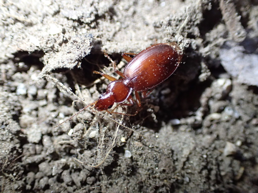 Rhadine from Los Angeles County, CA, USA on January 06, 2018 at 09:42 ...