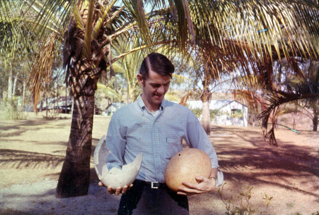 Elephant Birds (Aepyornithiformes) - Avian Discovery