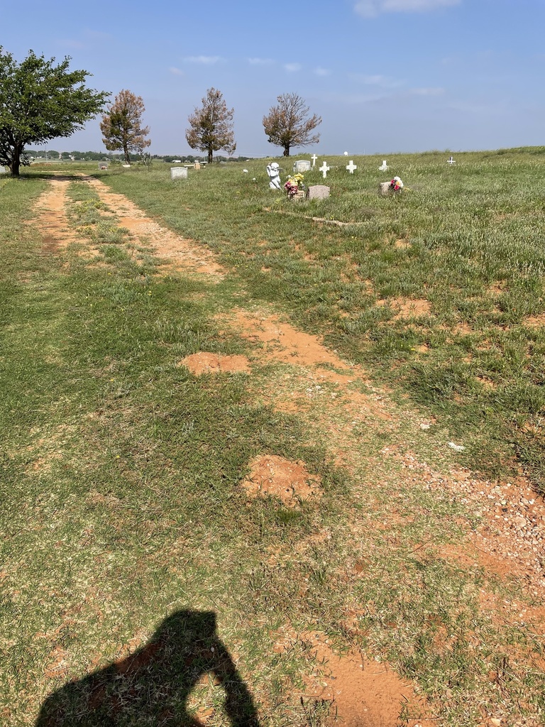 Eastern Pocket Gophers from Rotan, TX, US on June 9, 2021 at 10:20 AM ...