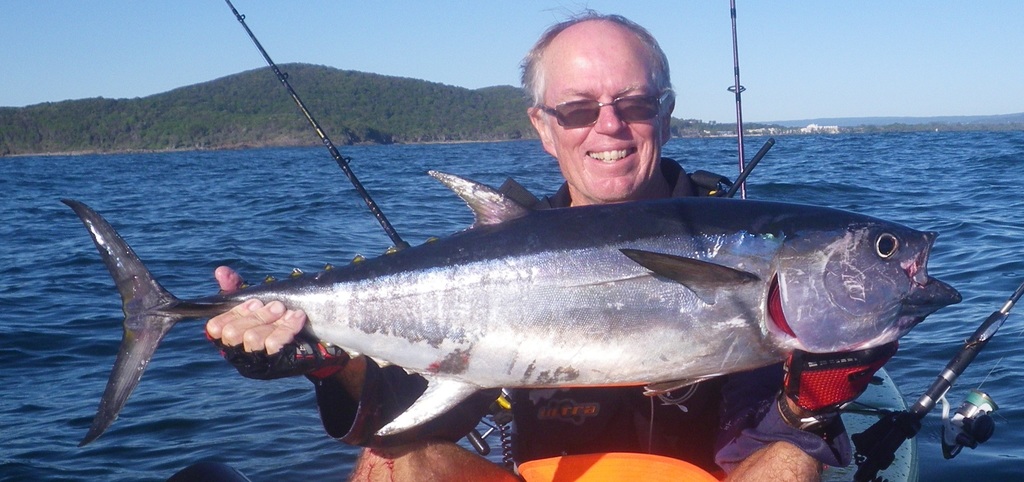 Longtail Tuna (Thunnus tonggol) - Marine Life Identification