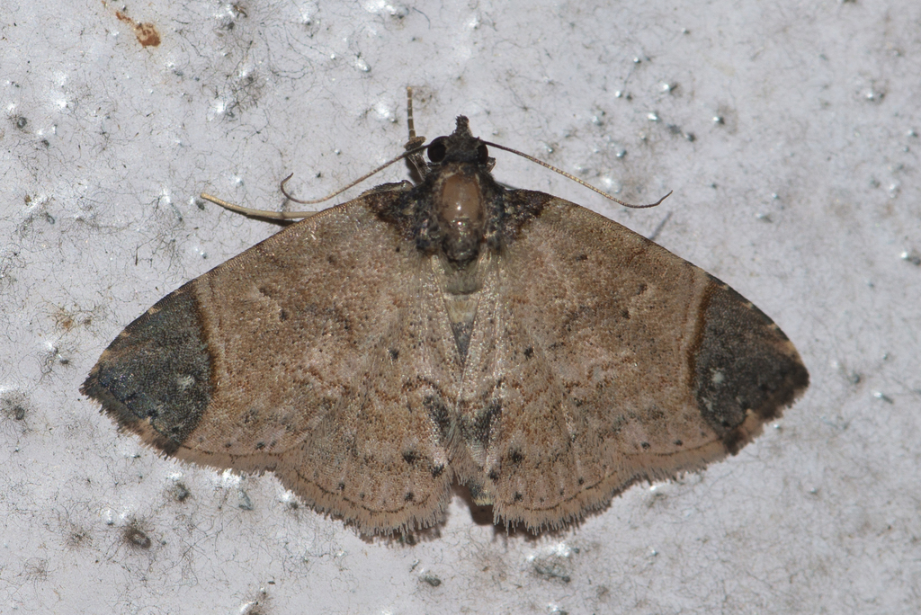 Tamba from Makunda Christian Hospital, Karimganj District, Assam on ...