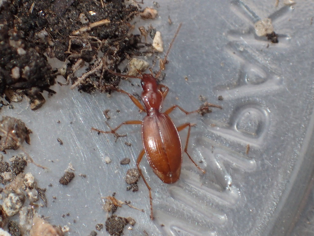 Rhadine from San Bernardino, California, United States on March 11 ...