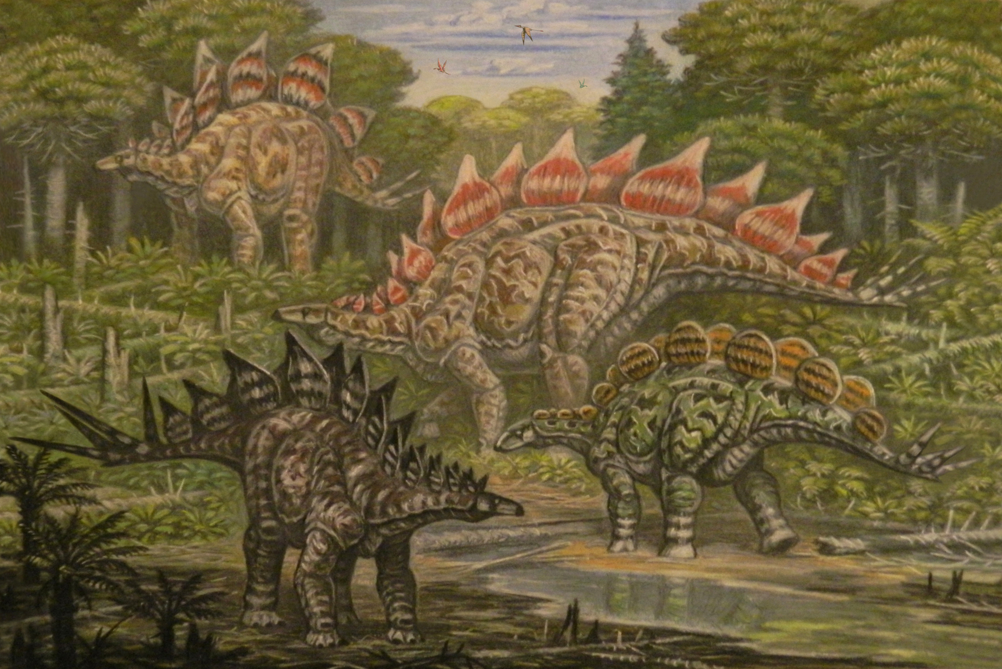 Stegosauria Family Tree