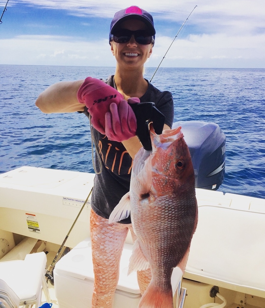 Northern Red Snapper in May 2018 by MadisonMc · iNaturalist