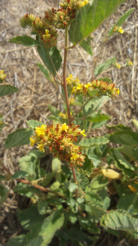 Sleepy Morning from La Paz, B.C.S., México on March 23, 2018 at 10:46 ...