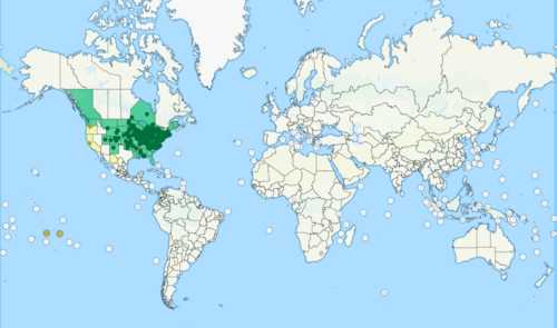 Smaller Yellow Ant (Nearctic Lasius Queens) · BioDiversity4All