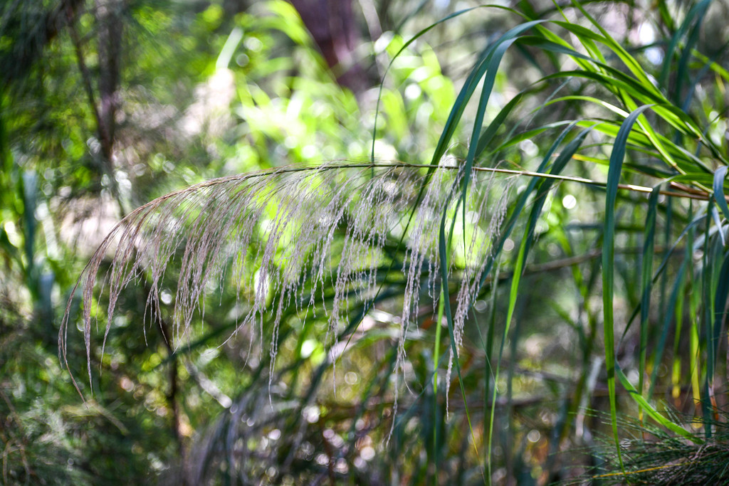 Burma Reed from North Miami, Florida, EE. UU. on August 17, 2021 at 10: ...