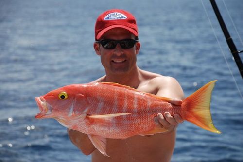 Silk Snapper (Mississippi Saltwater Fish species ( Extended ...