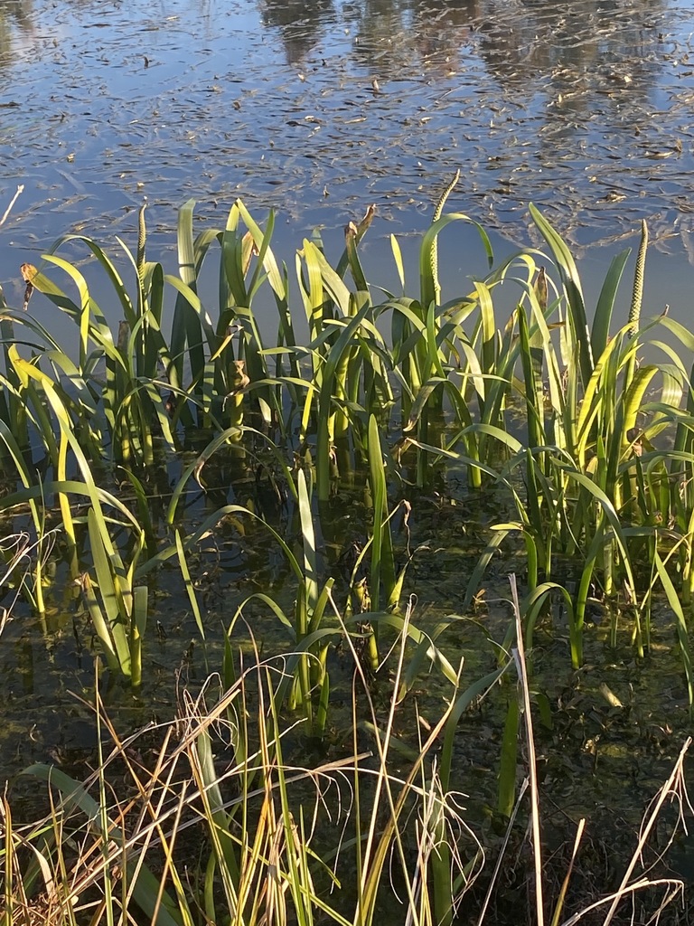 Water Ribbons from Brimbank - Sunshine, Victoria, Australia on August ...