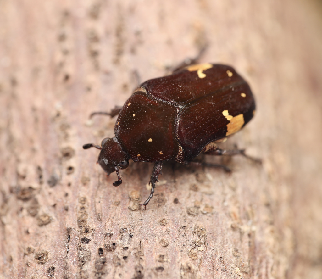 Clinteria from 119 Dover Rd, Singapore 139656 on February 17, 2021 at ...