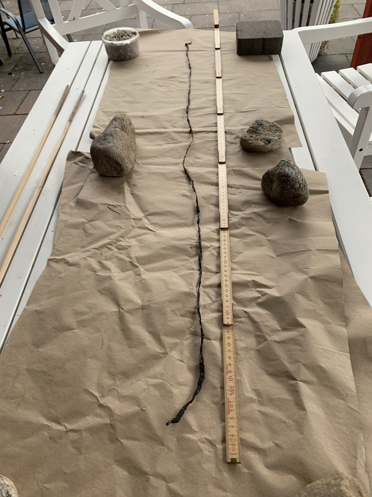 Bootlace Worm from Lönestigsvägen, Glommen, Halland, SE on September 17 ...