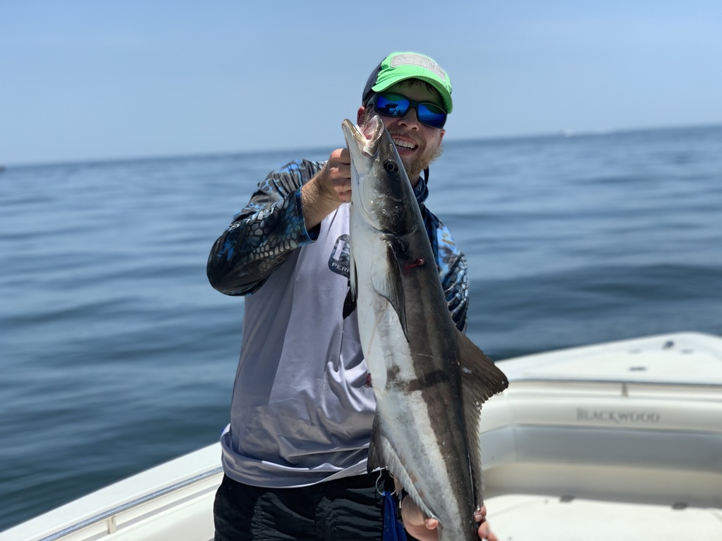Cobia from Gulf of Mexico, Dauphin Island, AL, US on July 5, 2019 at 01 ...