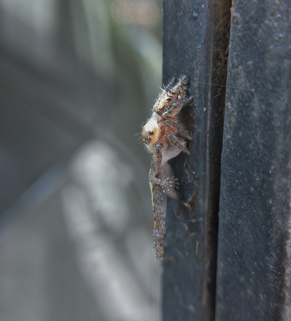 Heavy-bodied Jumper from Home of on October 07, 2021 at 10:39 AM by ...