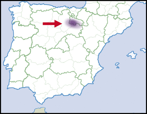 Arion wiktori · iNaturalist