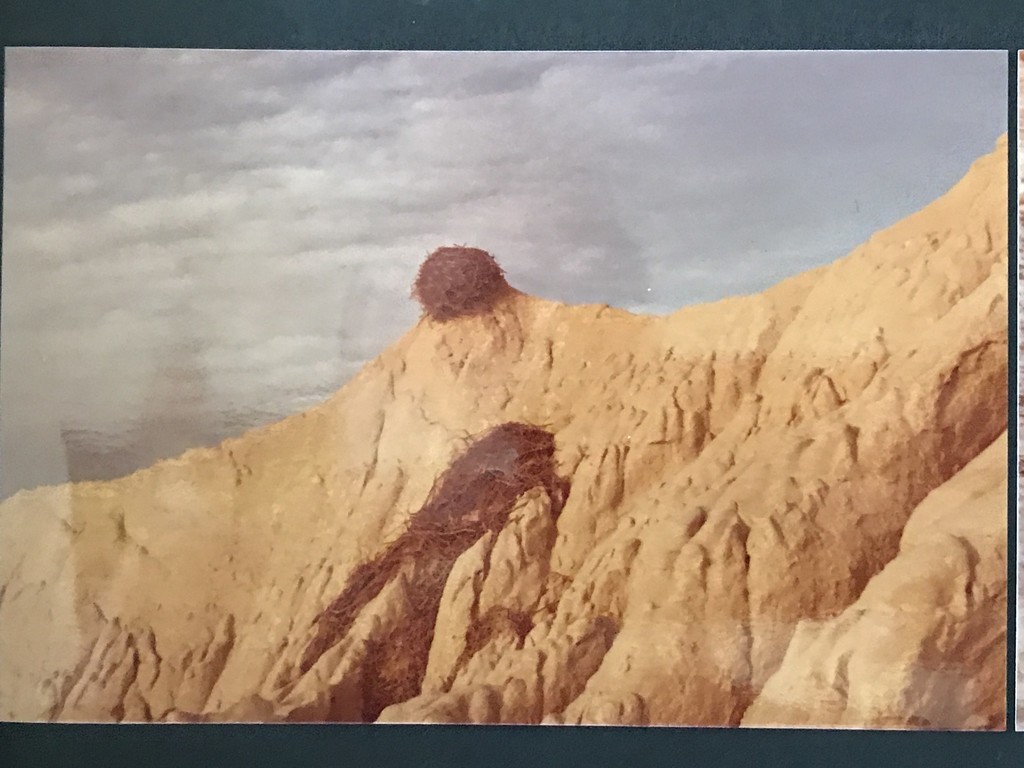 Golden Eagle in December 1979 by Victor Engel. December 1979. The ...