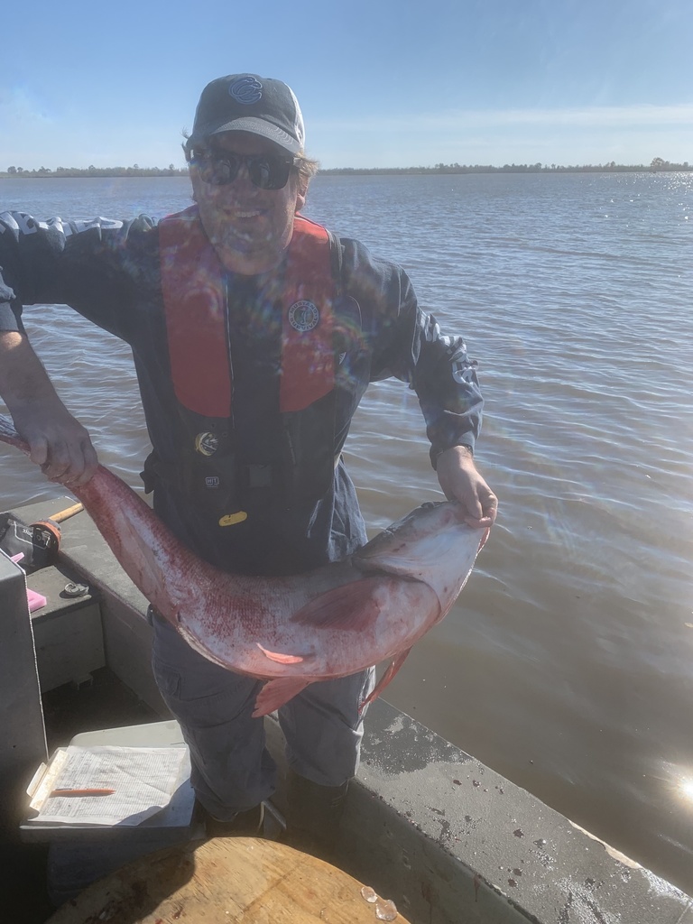 Silver Carp from Willow Cutoff, Lake Arthur, LA, US on November 22 ...