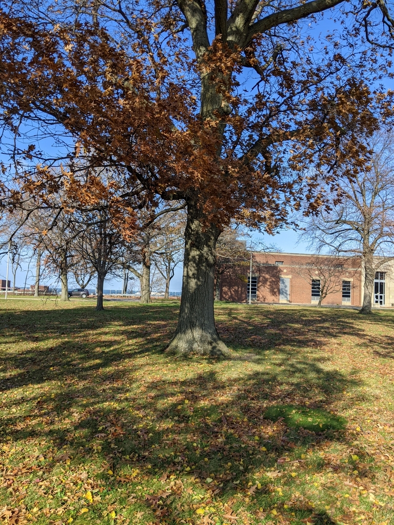 red oaks from Lakeshore Blvd & E 140th St, Cleveland, OH 44110, USA on ...
