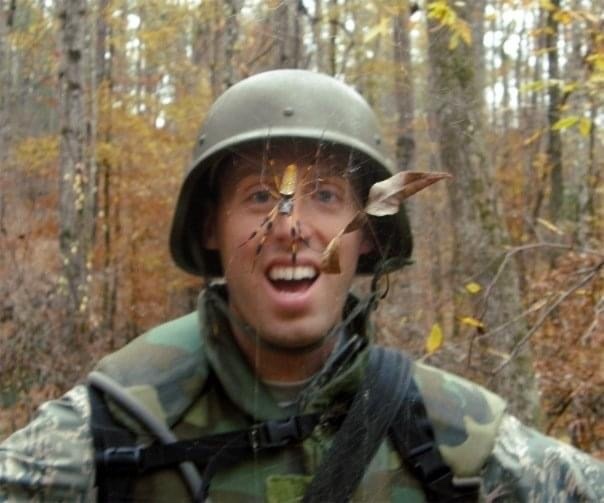 Golden Silk Spider in December 2009 by Joshua (Josh) Quiring. Pretty ...