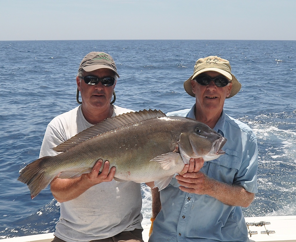 Deepwater Tilefishes (Latilidae) - Marine Life Identification