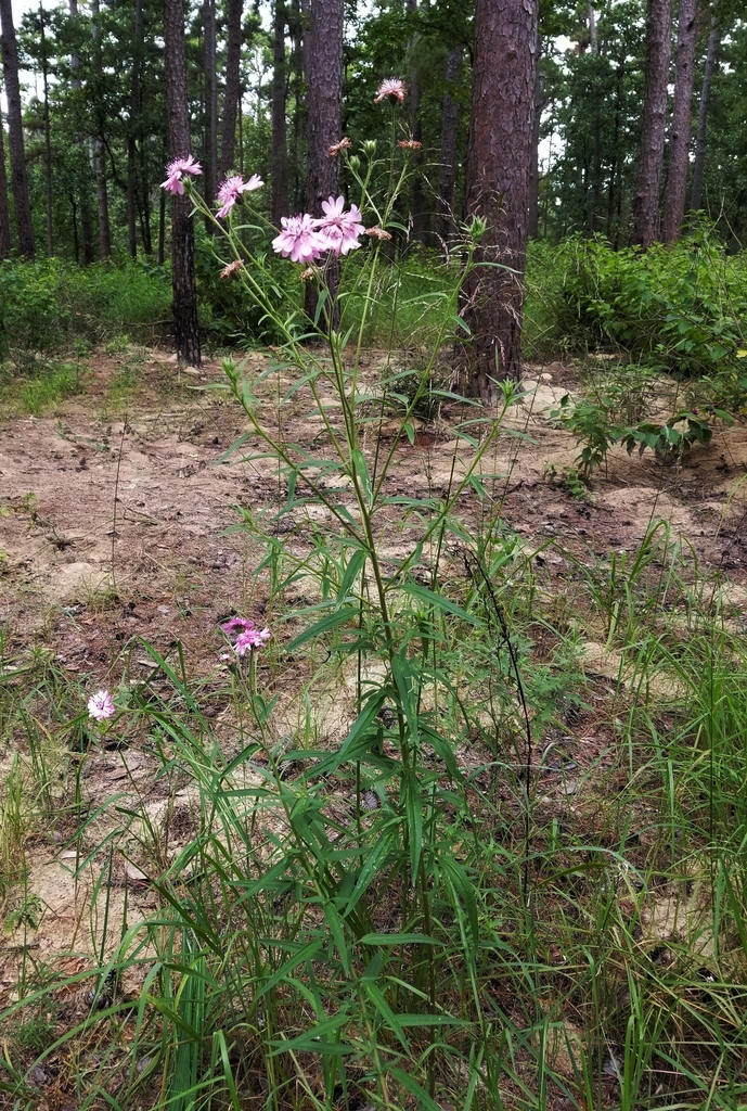 Sand Palafox from Houston County, TX, USA on September 15, 2021 at 12: ...