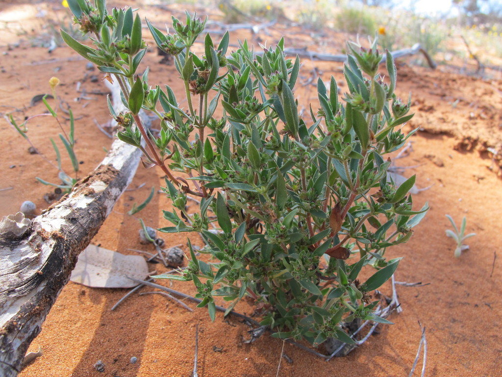 pomax from South Australia, Australia on August 27, 2015 at 12:27 PM by ...