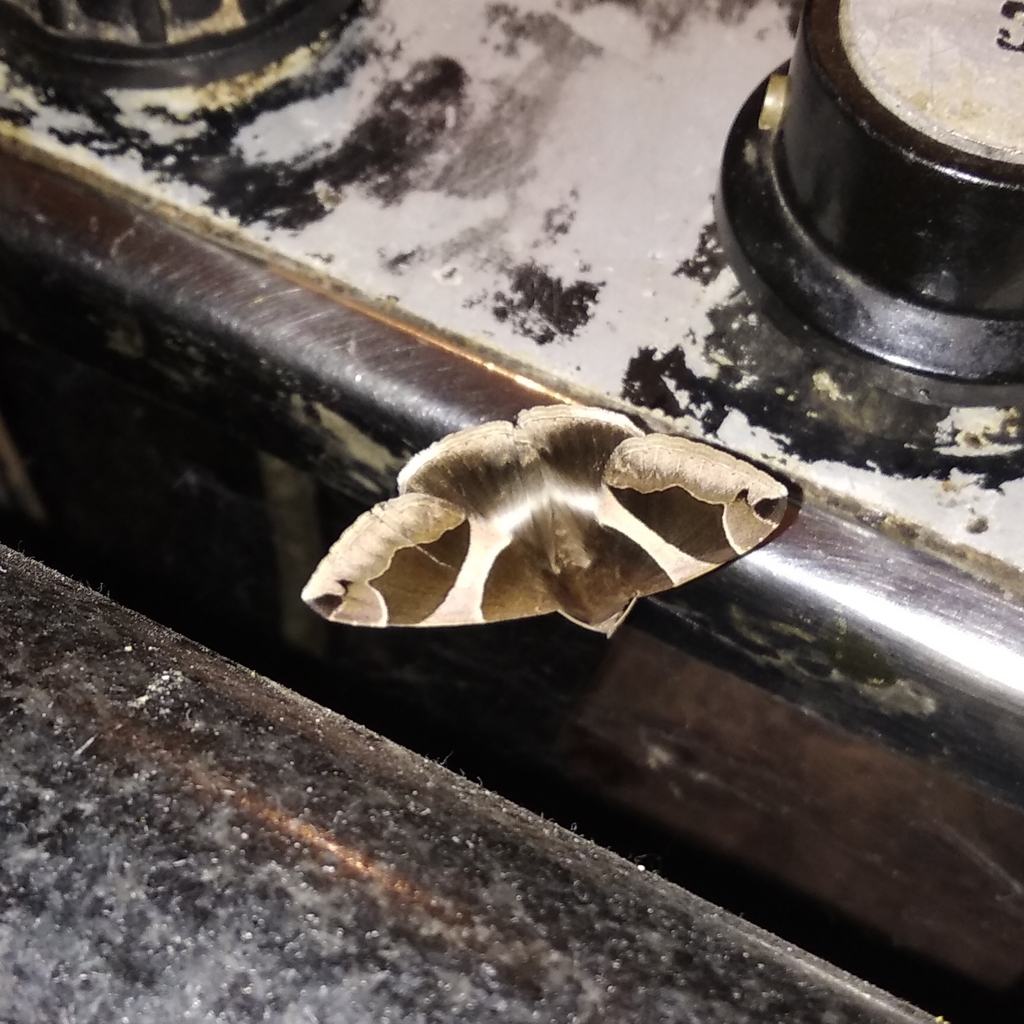 Jigsaw from 43, 11th Cross Rd, Sir M V Layout, Ananda Layout, Sonappa ...