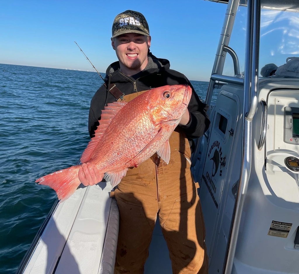 Northern Red Snapper in January 2022 by jakemayhan · iNaturalist United ...
