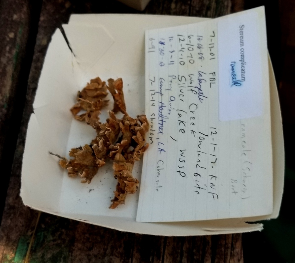 crowded parchment from San Jacinto County, TX, USA on November 13, 2021 ...