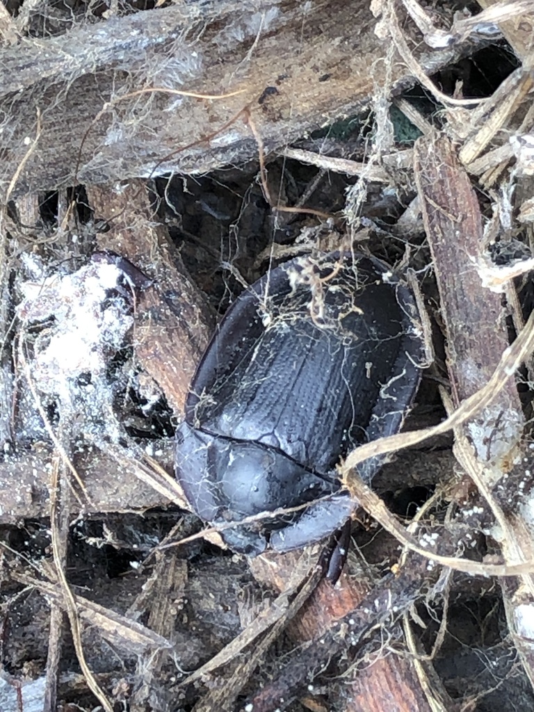 Heleina from Elbow Valley, QLD, AU on April 07, 2021 at 02:58 PM by ...