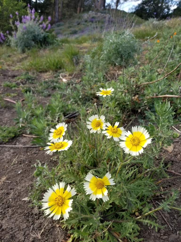 tidy tips from Orinda, CA 94563, USA on March 5, 2022 at 04:20 PM by ...