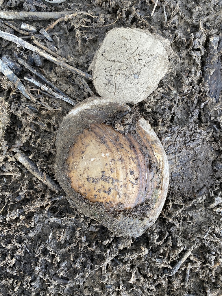 flat floater from Benbrook Lake, Fort Worth, TX, US on March 6, 2022 at ...