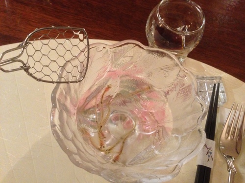 Ice Goby (Leucopsarion petersii) · iNaturalist