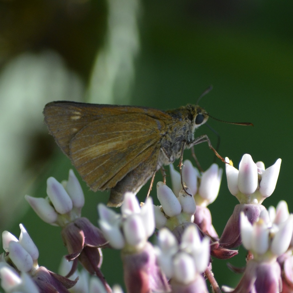 Dion Skipper from Prince George's County, MD, USA on September 5, 2018 ...