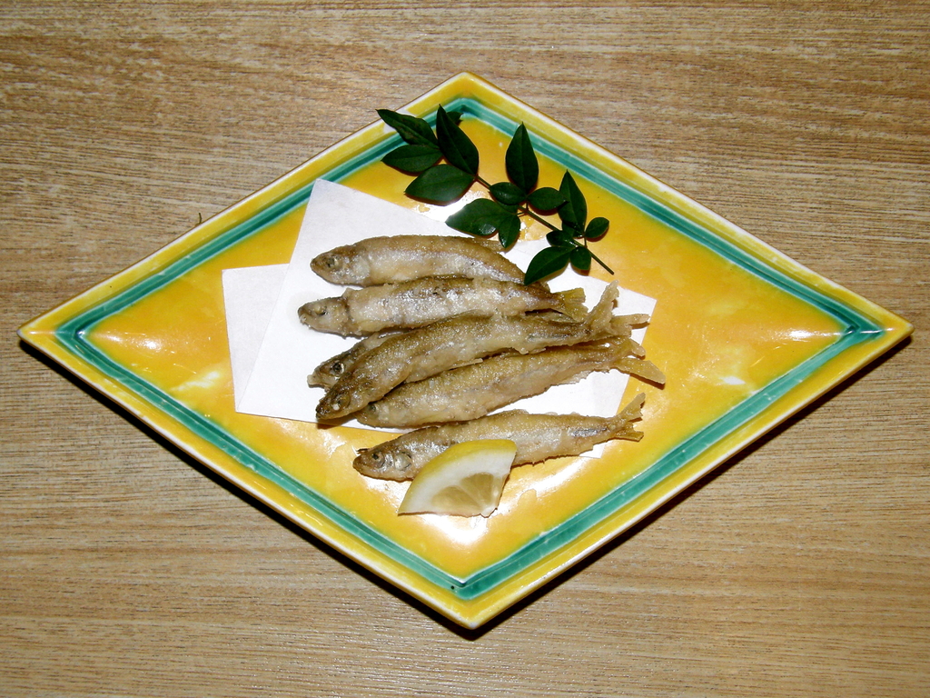 Japanese Pond Smelt (Hypomesus nipponensis) - Marine Life Identification