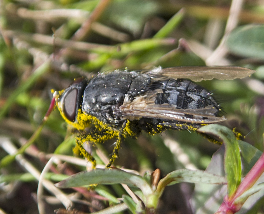 Cluster Flies from Приморско, Болгария on April 10, 2022 at 09:11 AM by ...