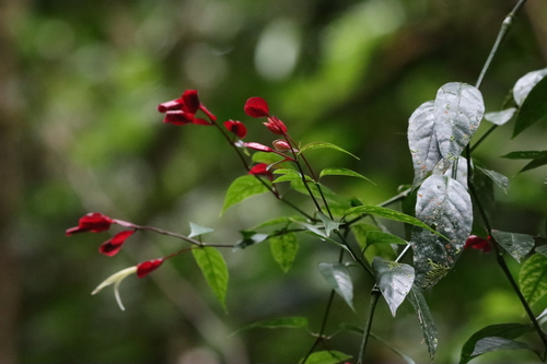 Photo 187924046, (c) Oliver Komar, some rights reserved (CC BY-NC ...