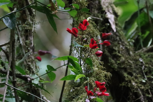 Photo 187924046, (c) Oliver Komar, some rights reserved (CC BY-NC ...